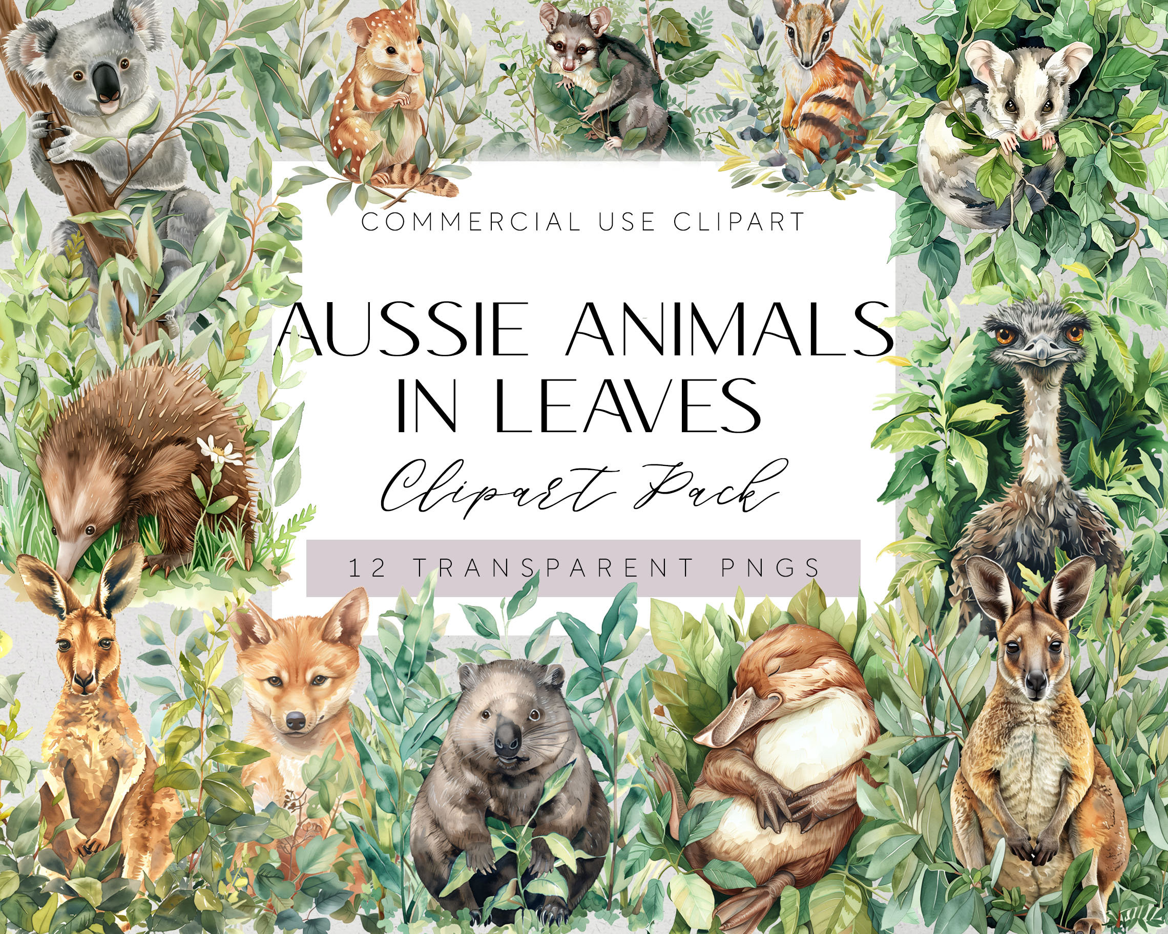 Australian Native Animals Clipart in Foliage Aussie Kangaroo ...