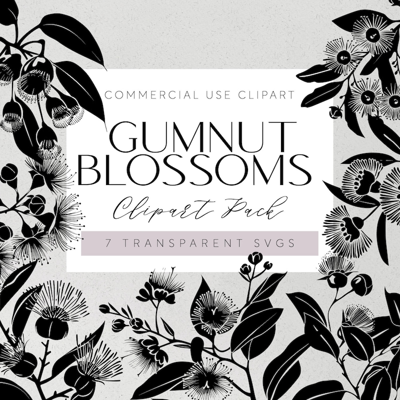 Gumnuts - Etsy