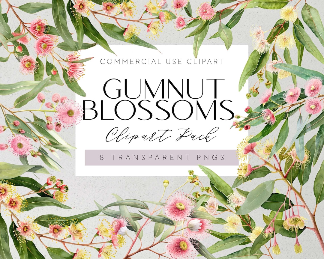 Australian Native Flowers Clipart Gumnut Blossoms Eucalyptus Flowers ...