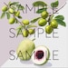 Australian Native Flowers Clipart Kakaku Plum Flowers Transparent PNG ...