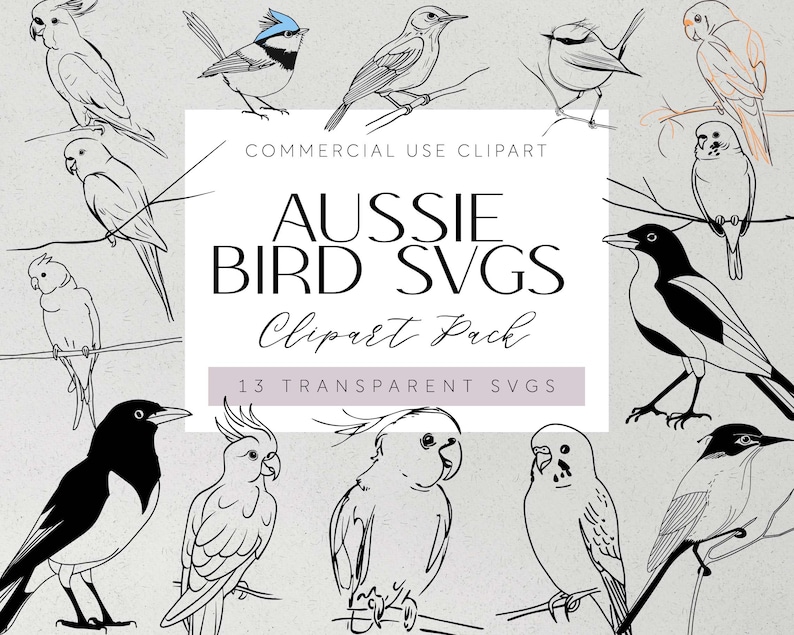 Australian Native Bird SVG Aussie Native Birds PNG Australian Birds ...
