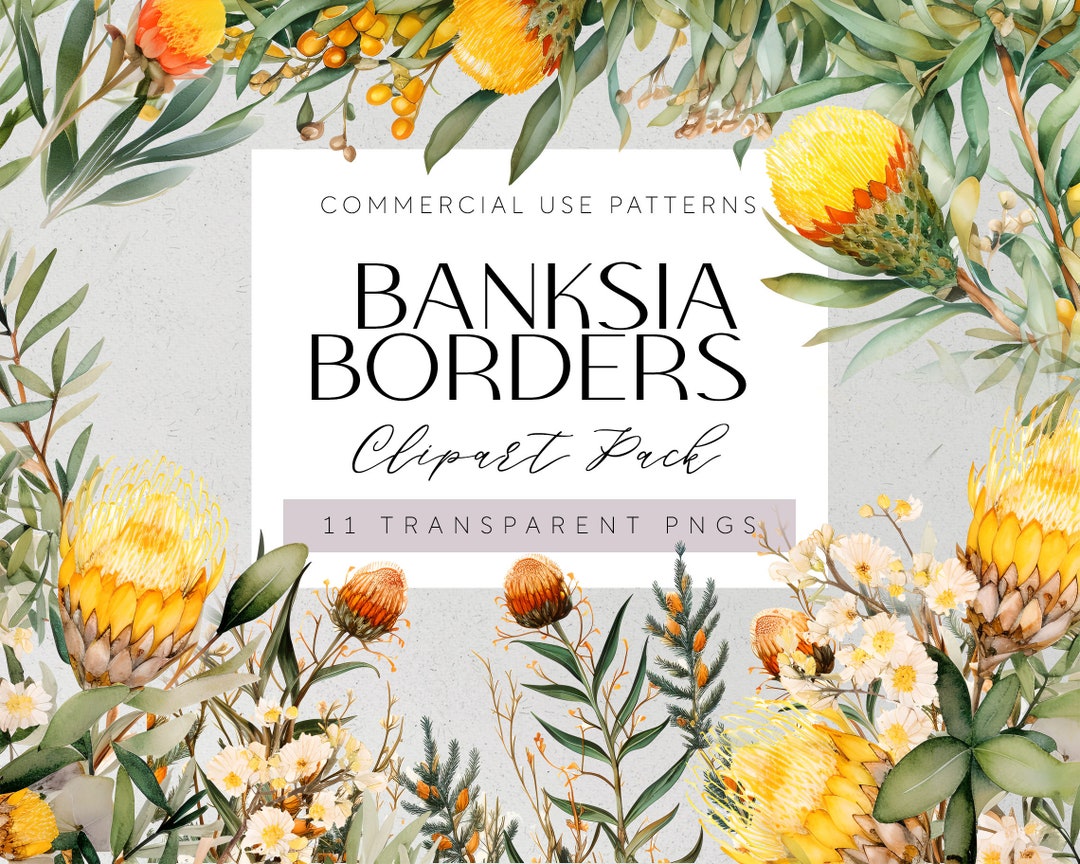 Australian Native Floral Border Australian Flowers Banksia Borders ...
