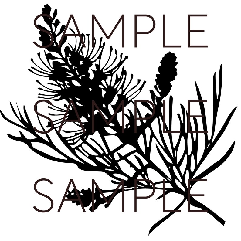 Australian Native Flowers Grevillea SVG Aussie Botanicals Plotter File ...
