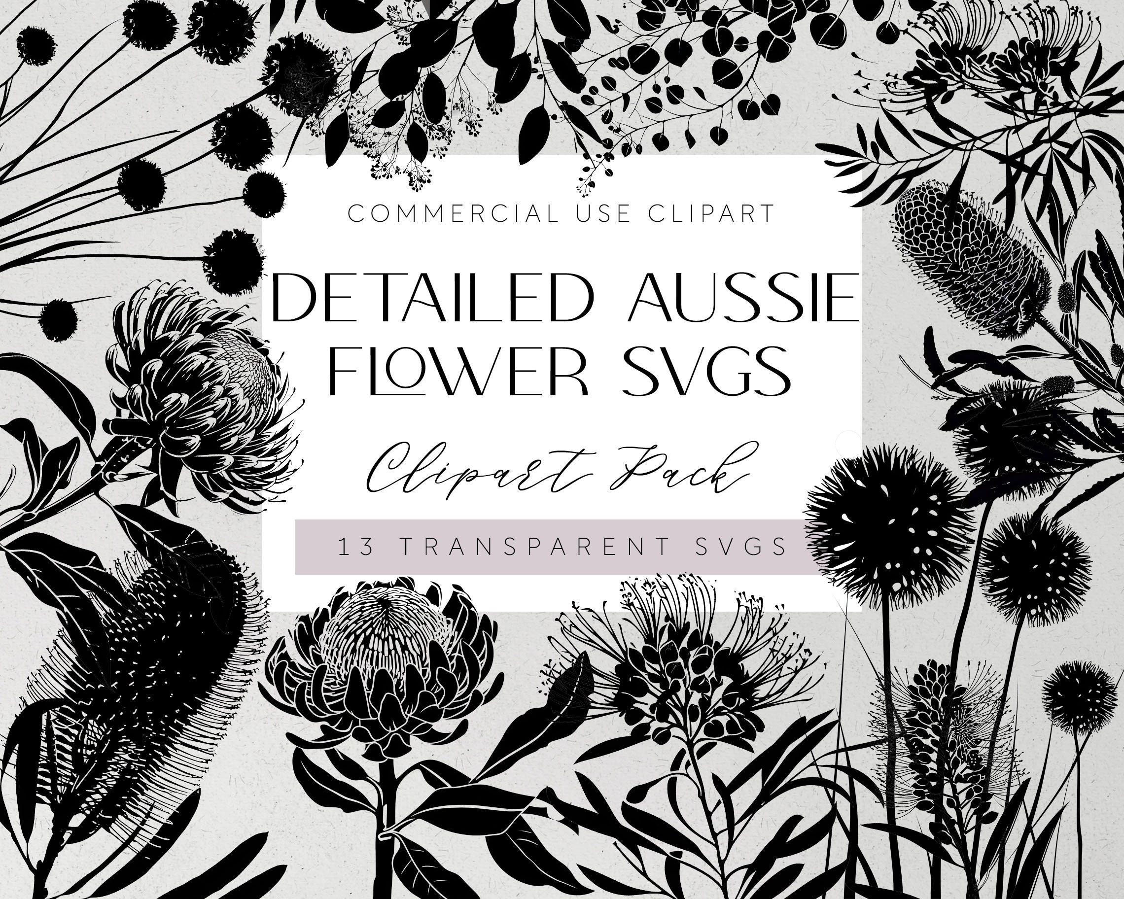 Australian Native Flowers SVG Aussie Botanicals Plotter File Svg ...
