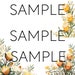 Australian Native Floral Border Australian Flowers Banksia Borders ...