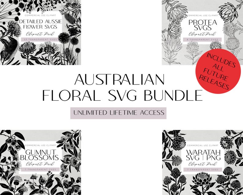 Australian Floral SVG Clipart Bundle Lifetime Shop Access Banksia ...