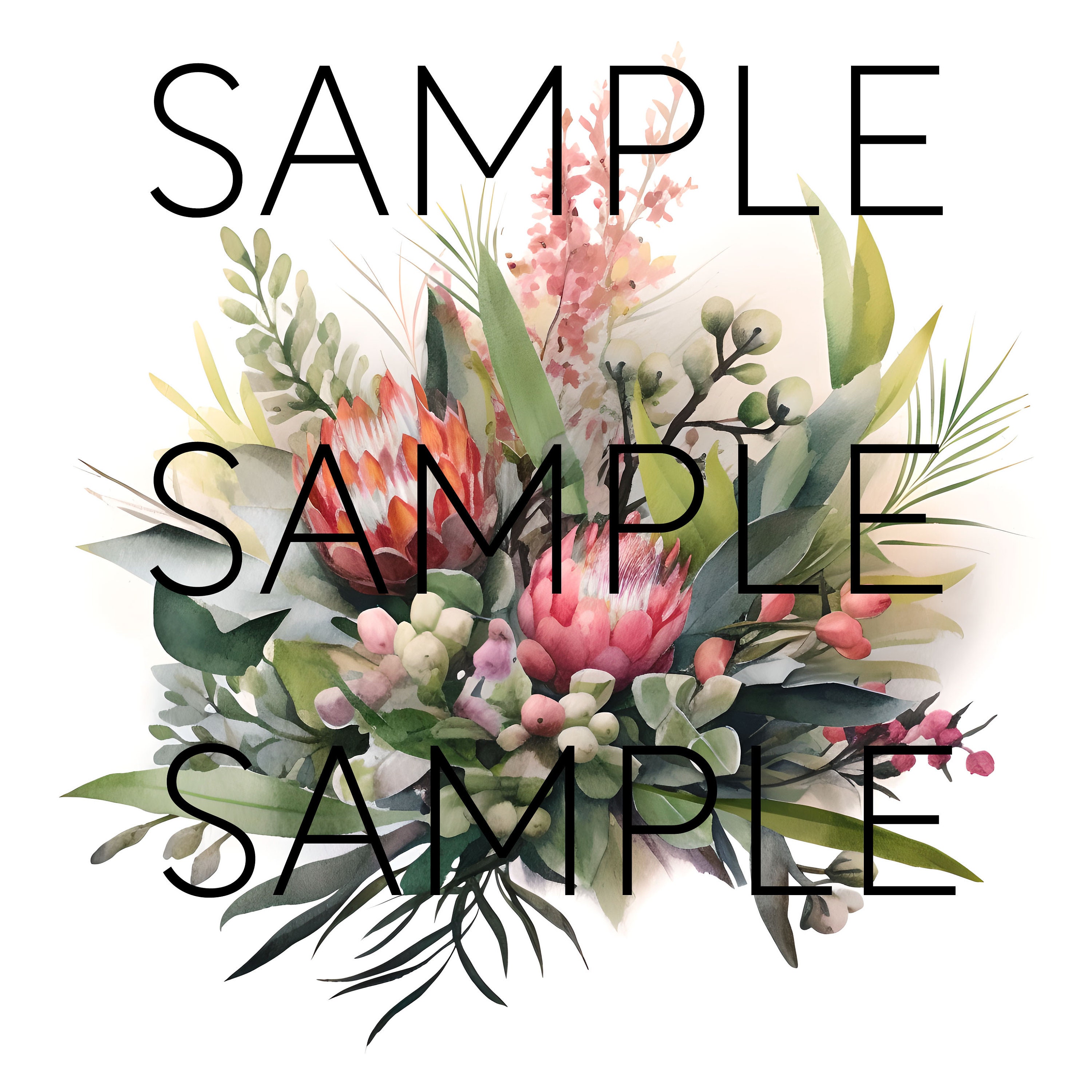 Australian Native Flowers Clipart Bouquet Flowers Transparent - Etsy