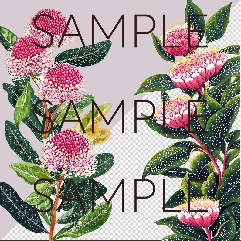 Aboriginal Australian Borders Native Flowers Clipart Flowers ...