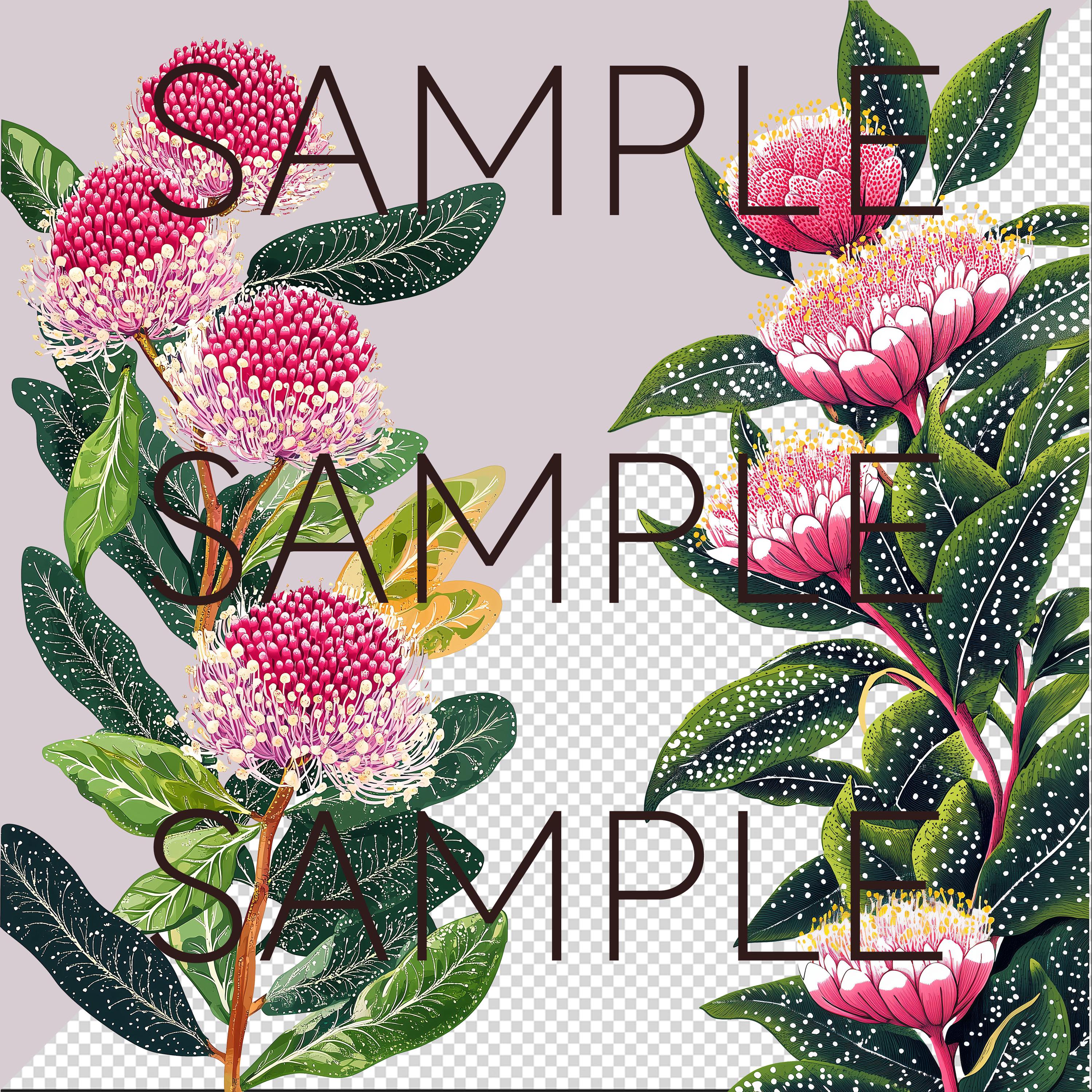 Aboriginal Australian Borders Native Flowers Clipart Flowers ...
