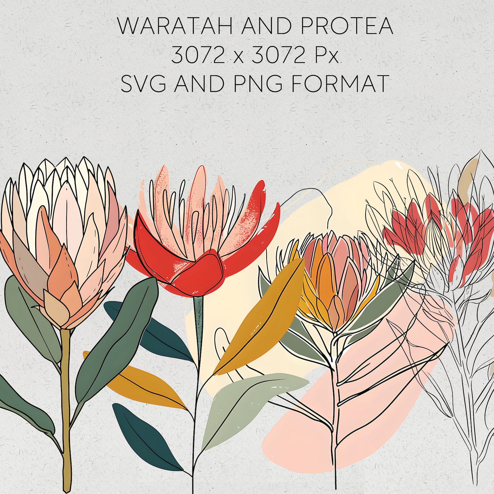 Australian Native Flowers SVG Aussie Botanicals Coloured Plotter File ...