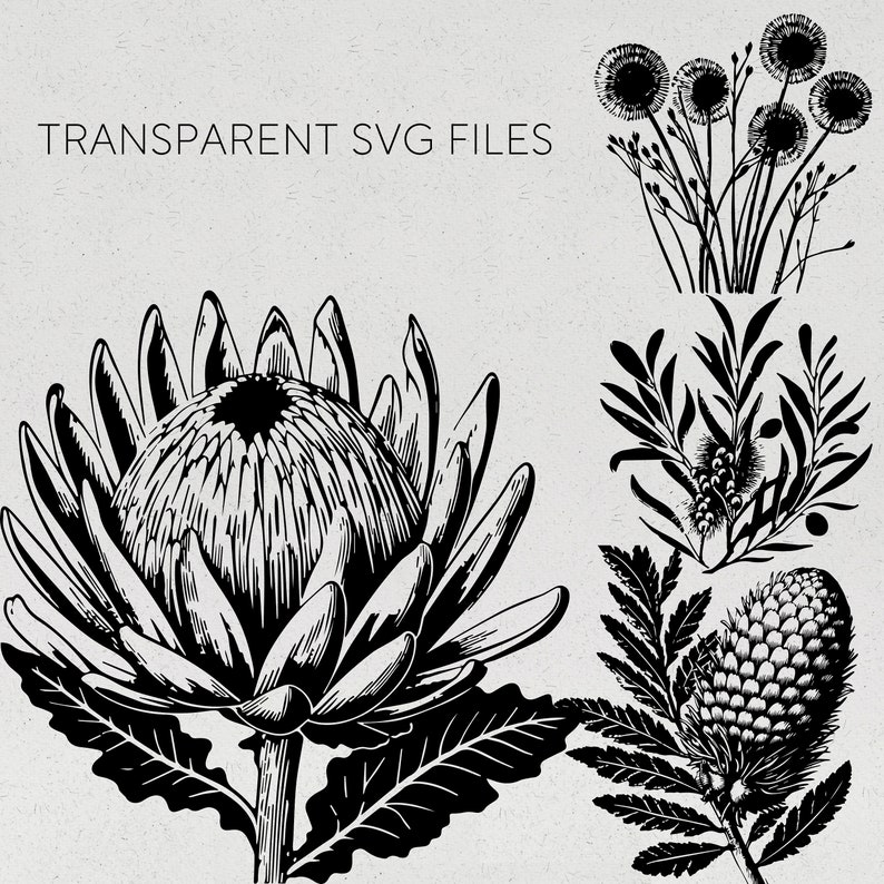 Australian Native Flowers SVG Aussie Botanicals Plotter File - Etsy