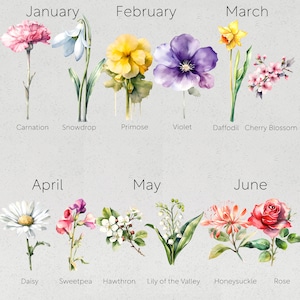 Birth Month Flowers Clip Art | Flower Png | Birth Flower Png | Floral ...