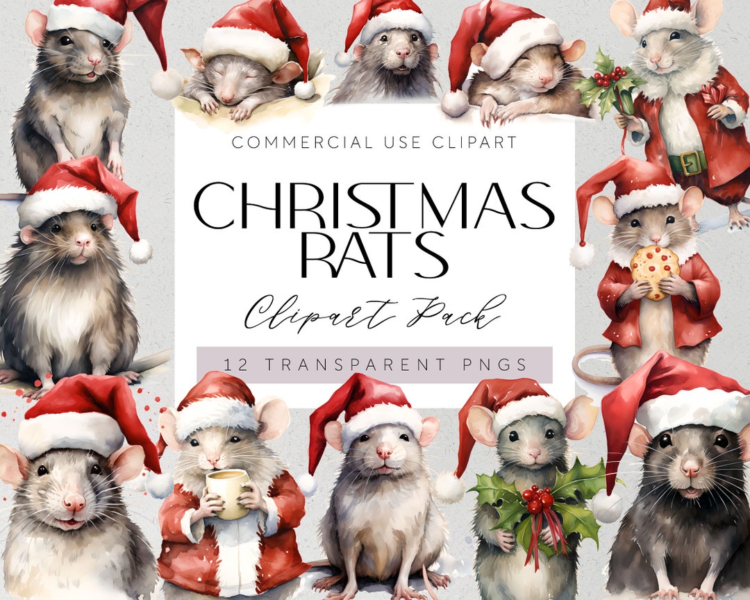 Christmas Rat Clipart Watercolor Xmas Rat Christmas Mice PNG Rat Card ...