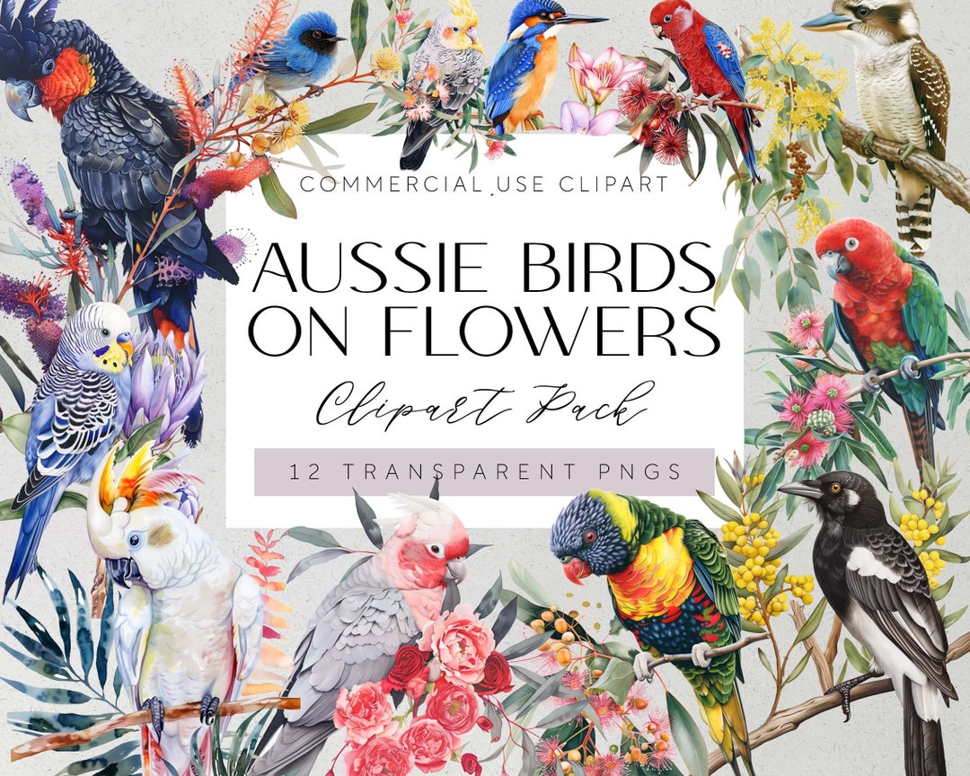 Australian Native Birds Floral Clipart Aussie Native Birds ...