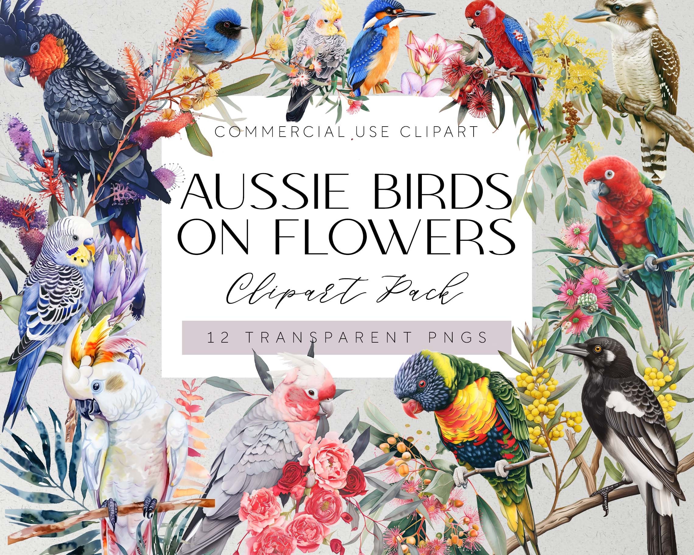 Australian Native Birds Floral Clipart Aussie Native Birds ...