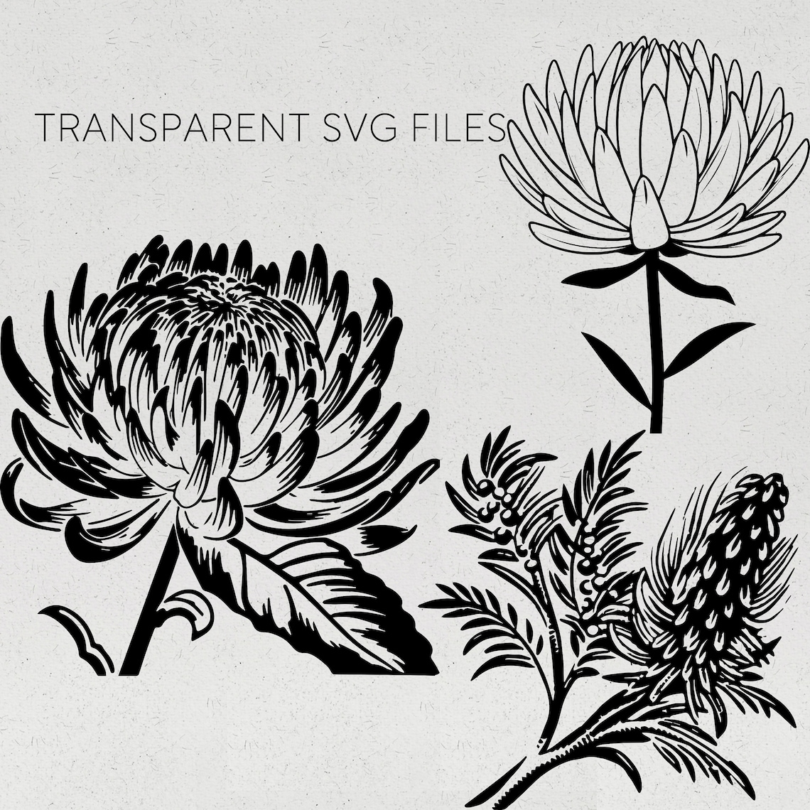 Australian Native Flowers SVG Aussie Botanicals Plotter File Svg ...