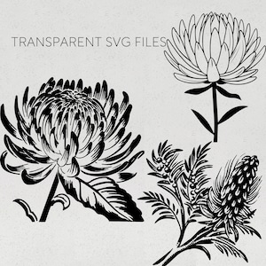 Australian Native Flowers SVG Aussie Botanicals Plotter File Svg ...