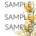 Australian Native Floral Border Australian Flowers Banksia Borders ...