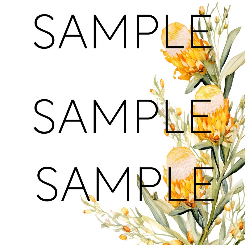 Australian Native Floral Border Australian Flowers Banksia Borders ...