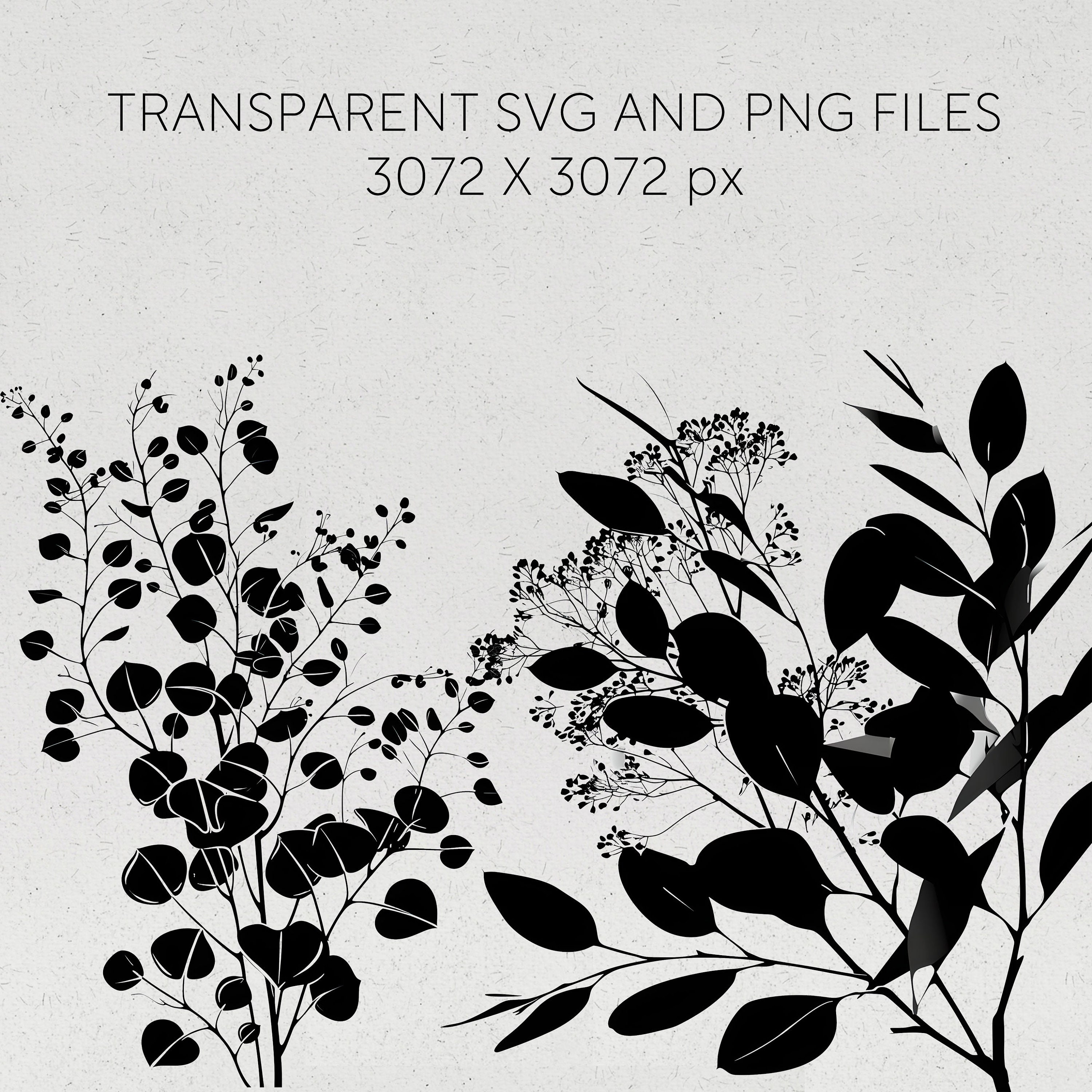 Australian Native Flowers SVG Aussie Botanicals Plotter File Svg ...