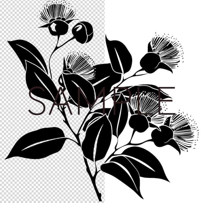 Australian Native Flowers Eucalyptus Flower SVG Aussie Botanicals ...