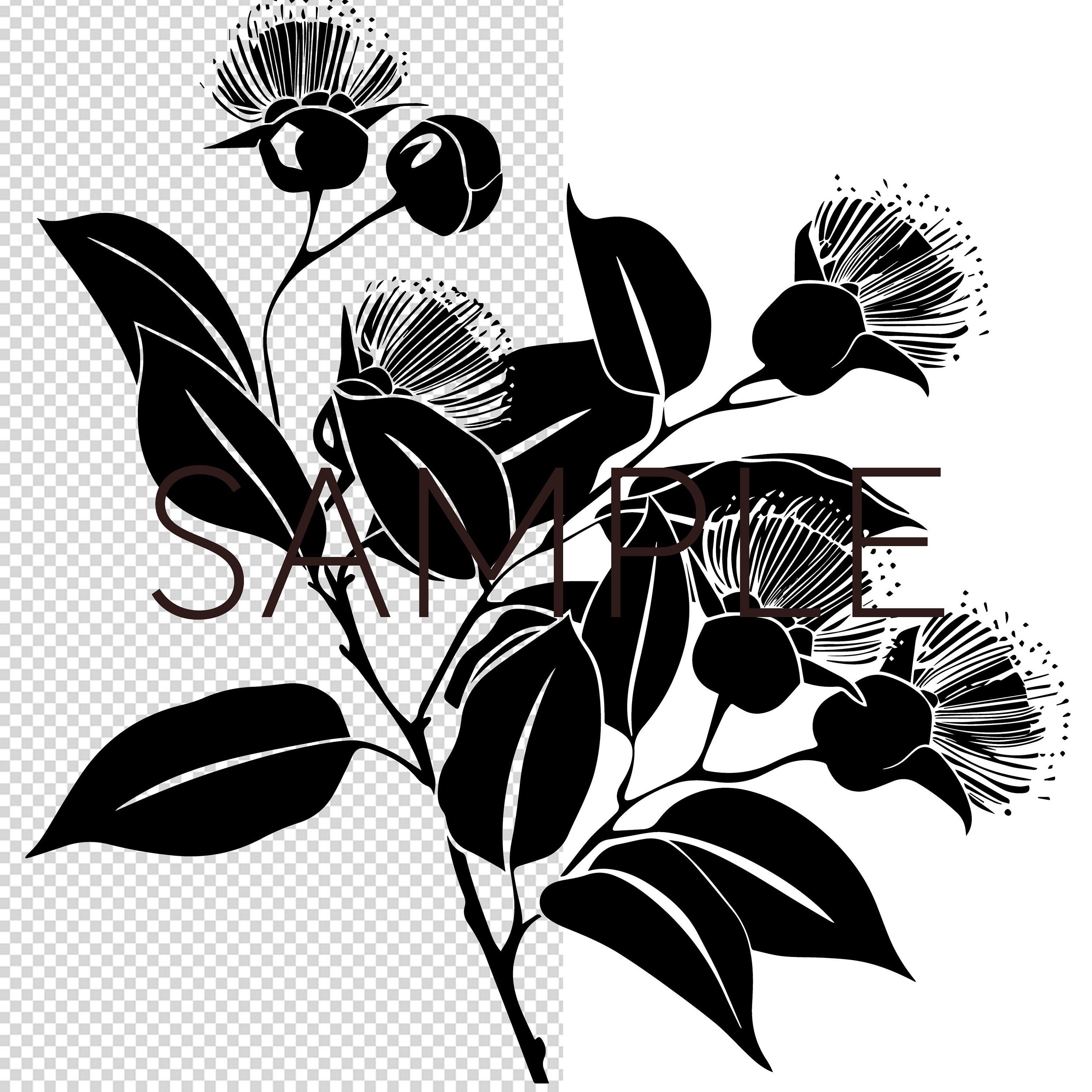 Australian Native Flowers Eucalyptus Flower SVG Aussie Botanicals ...
