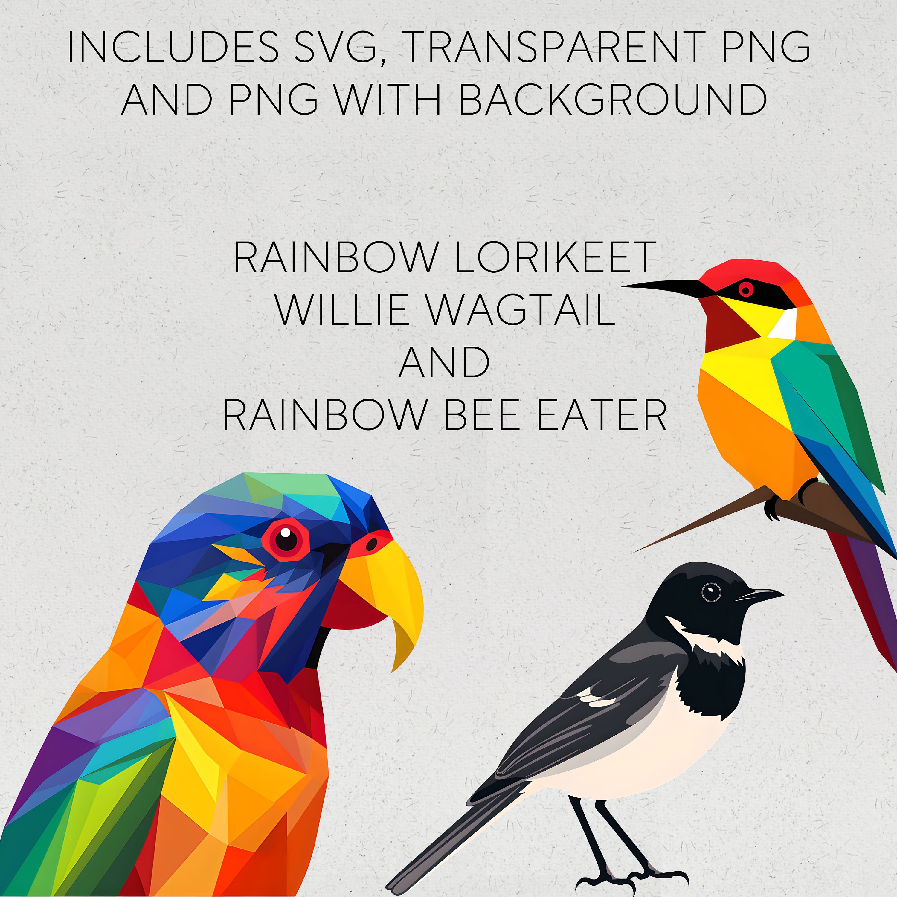 Australian Native Bird SVG Aussie Native Birds PNG Australian Birds ...