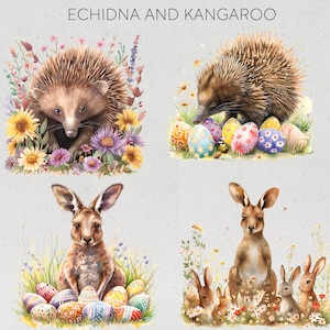 Easter Australian Native Animals Clipart Aussie Kangaroo Illustrations ...