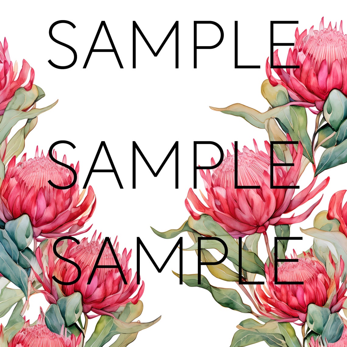 Australian Native Floral Border Australian Flowers Waratah Borders ...
