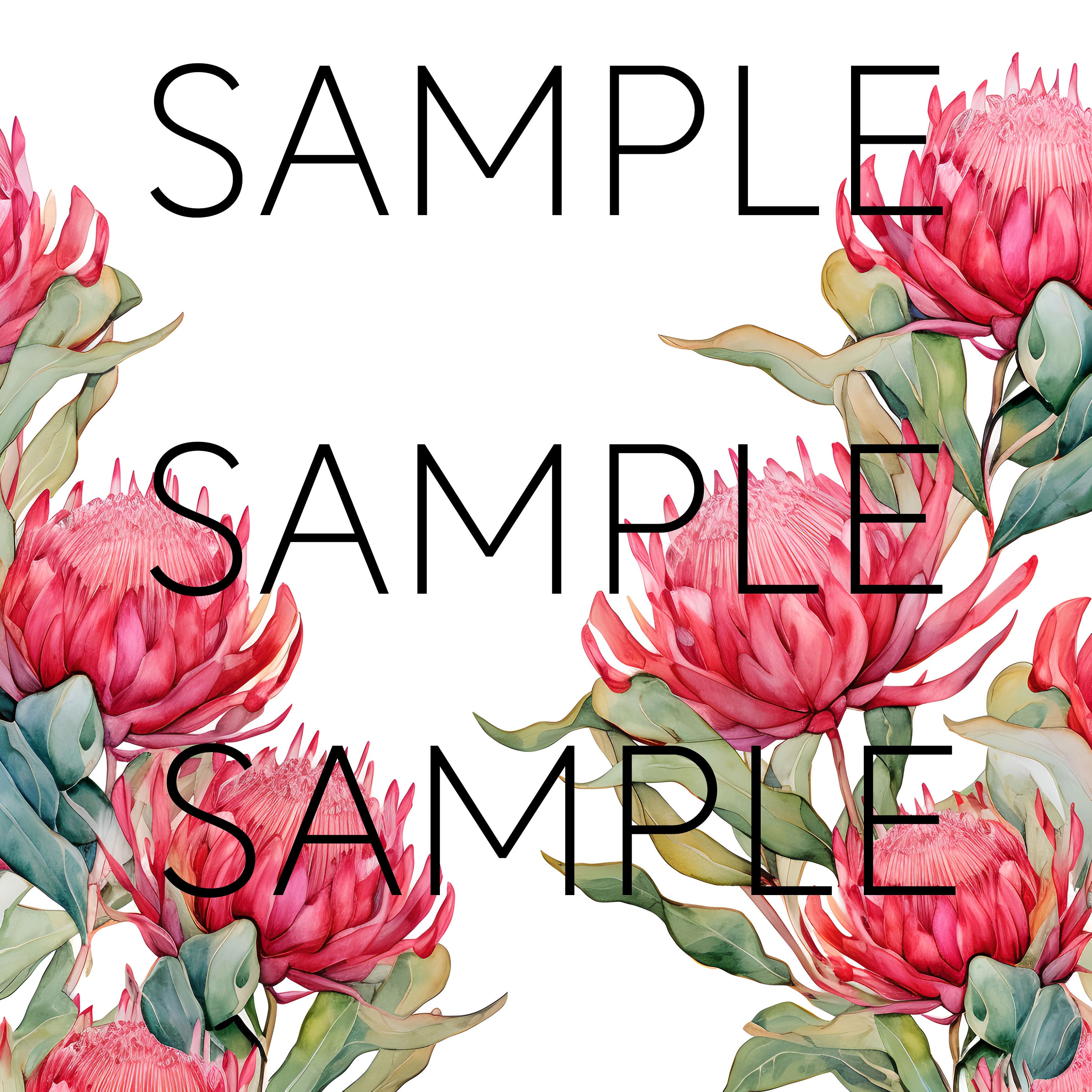 Australian Native Floral Border Australian Flowers Waratah - Etsy Australia