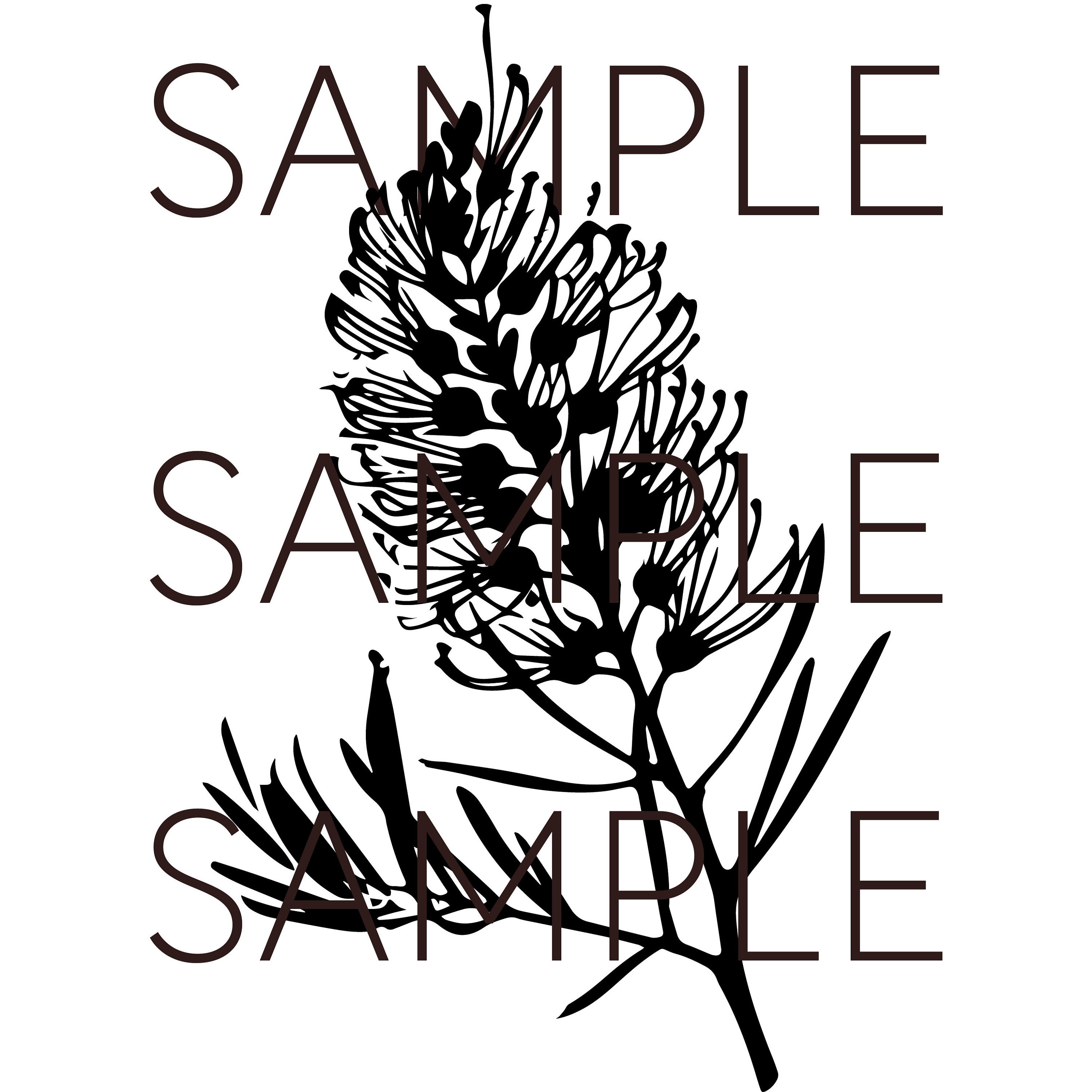 Australian Native Flowers Grevillea SVG Aussie Botanicals Plotter File ...