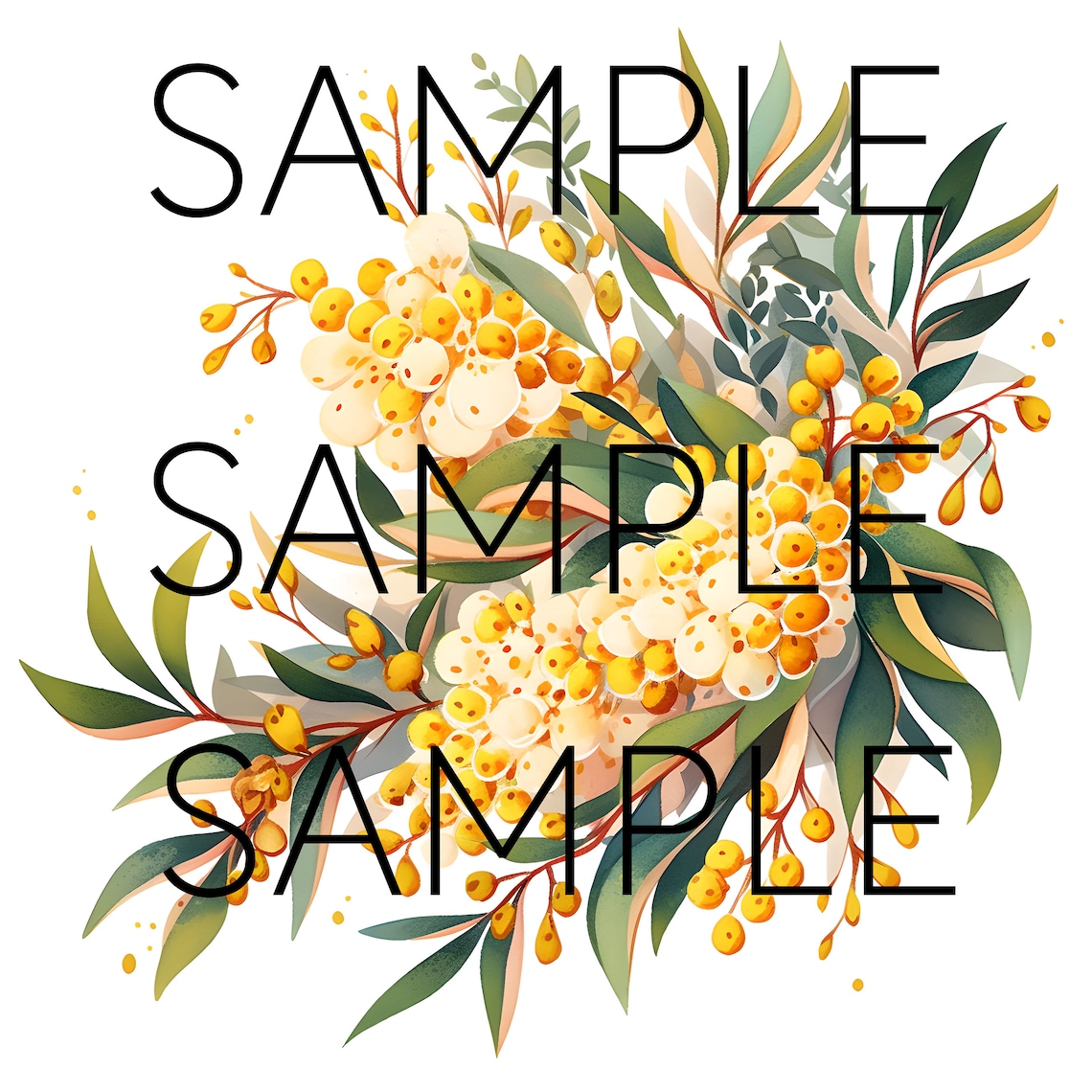 Australian Native Flowers Clipart Flowers Transparent Pngs Aussie Flora ...