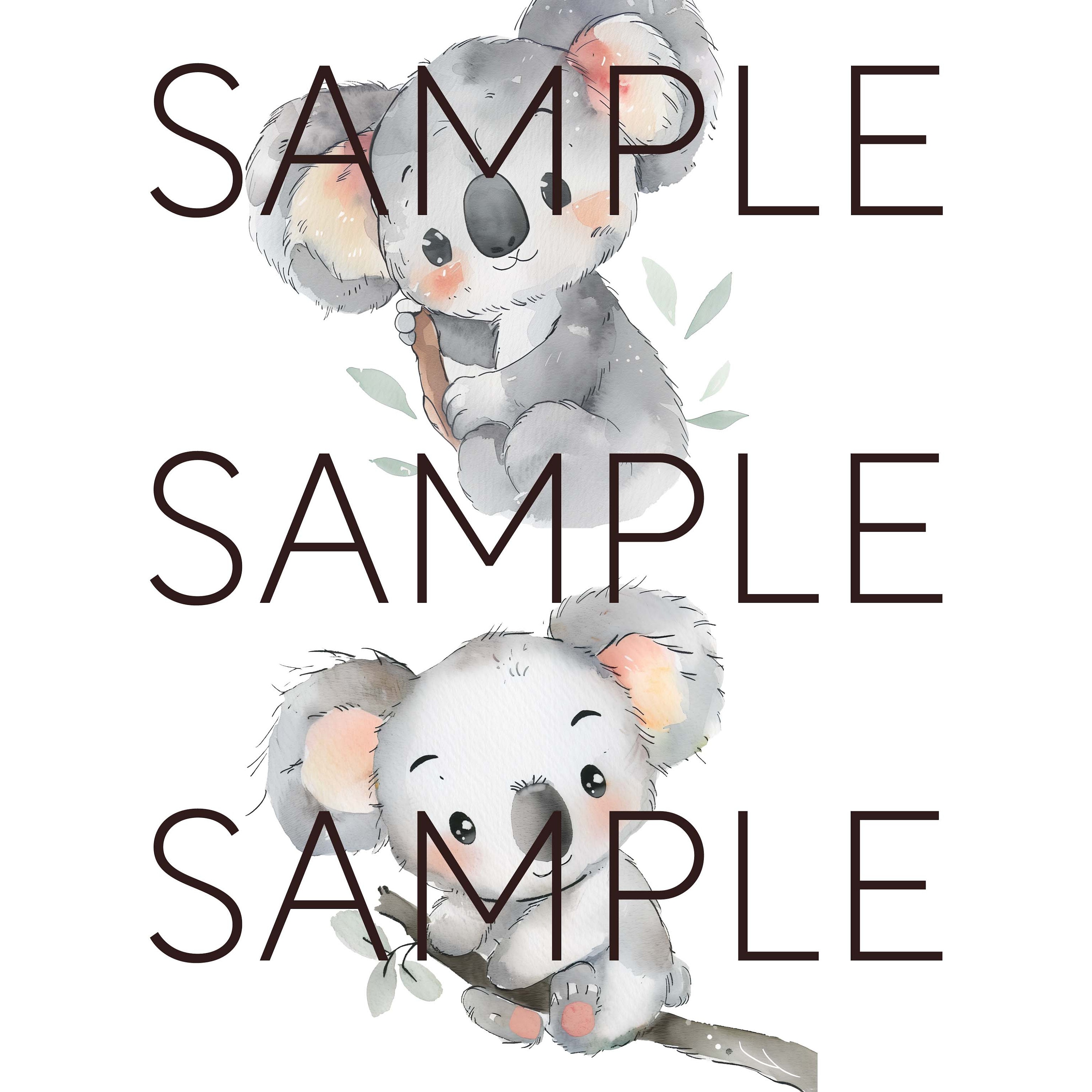 Koala Australian Native Animals Clipart Aussie Koala Illustrations ...