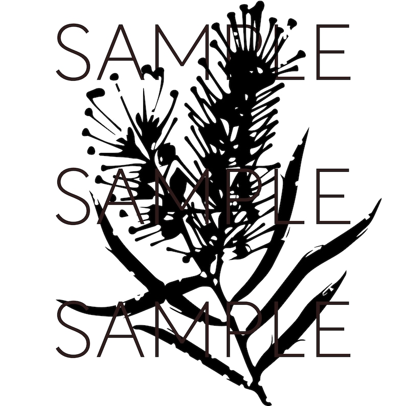 Australian Native Flowers Grevillea SVG Aussie Botanicals Plotter File ...