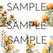 Australian Native Floral Border Australian Flowers Banksia Borders ...