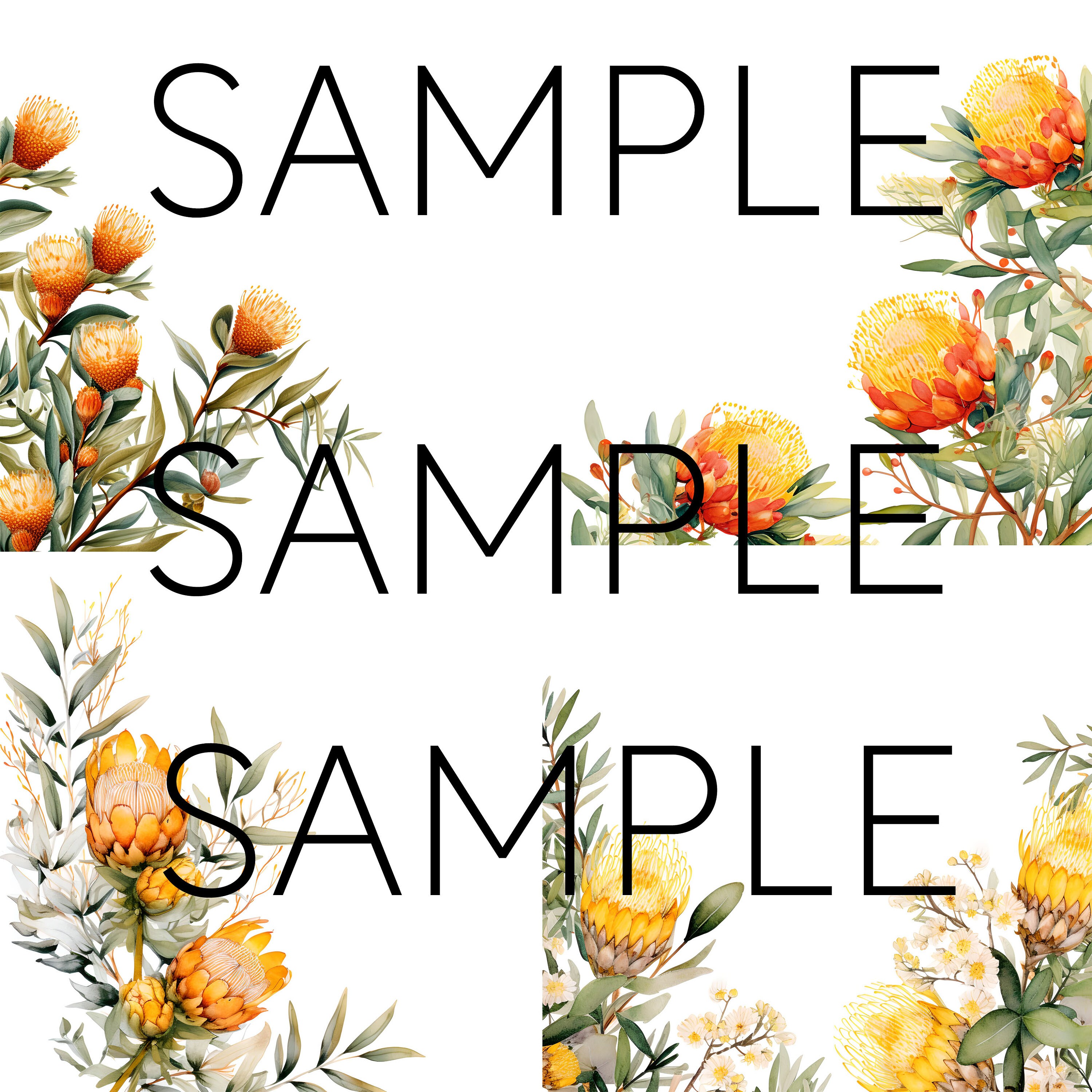 Australian Native Floral Border Australian Flowers Banksia - Etsy