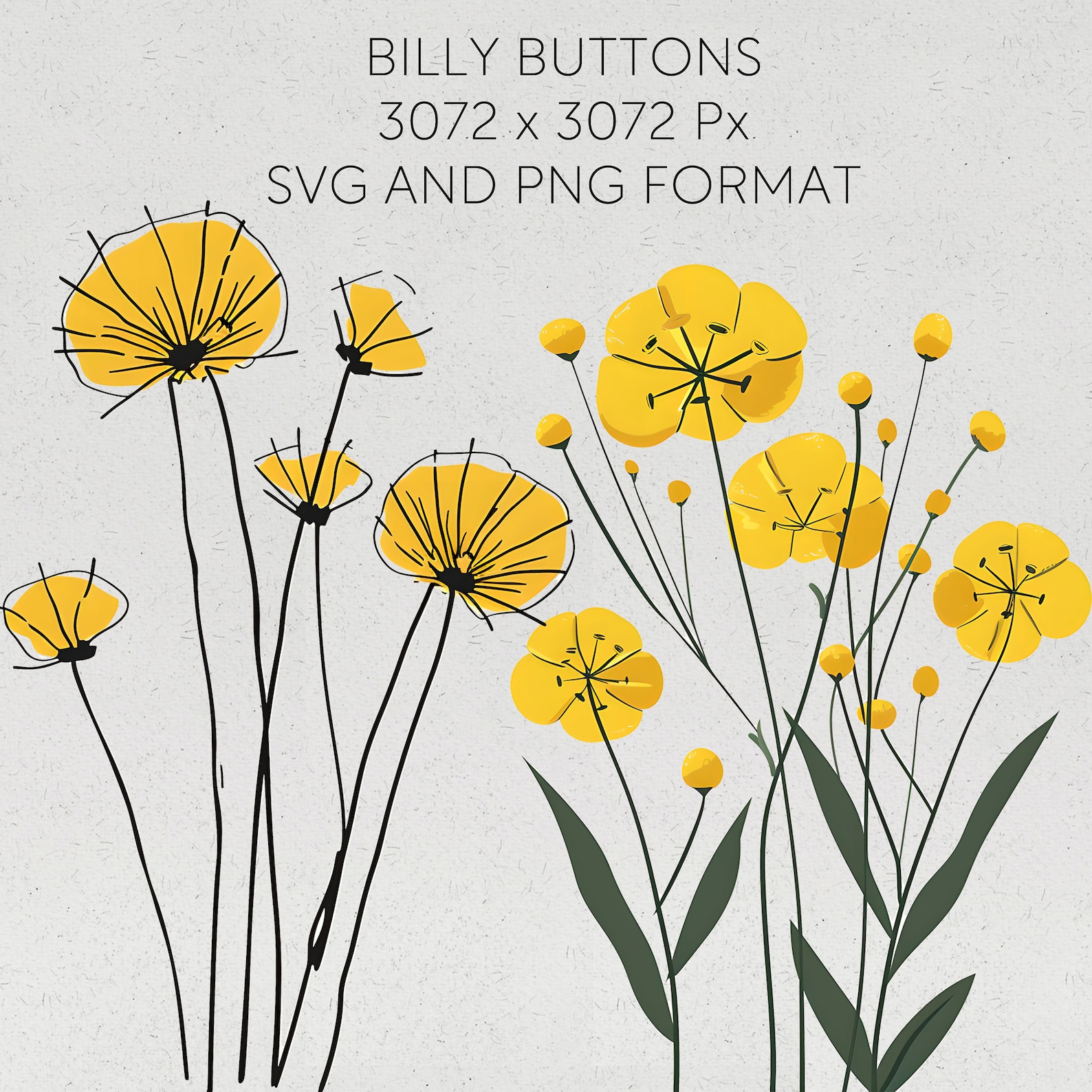 Australian Native Flowers SVG Aussie Botanicals Coloured Plotter File ...