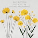 Australian Native Flowers SVG Aussie Botanicals Coloured Plotter File ...