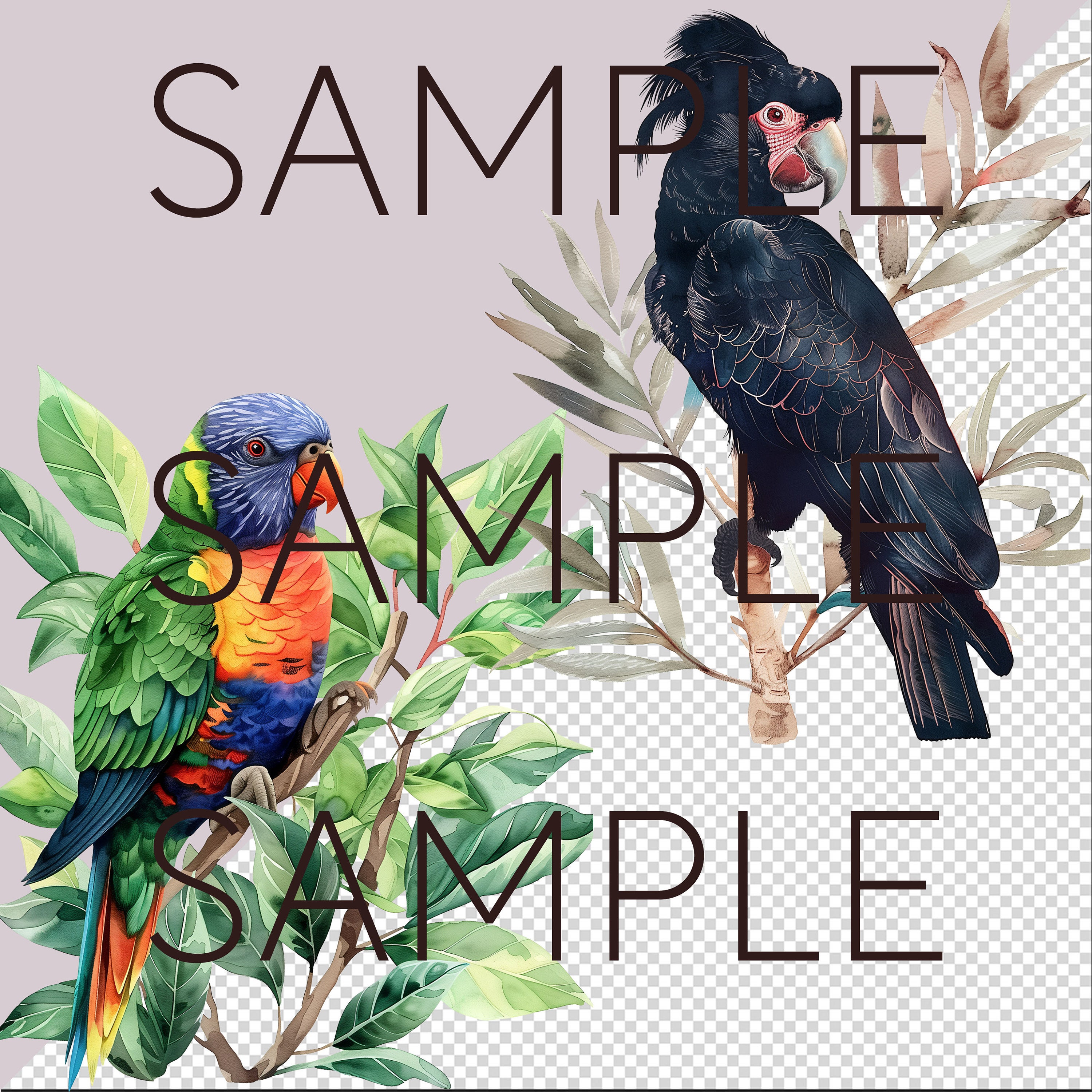 Australian Native Birds Foliage Clipart Aussie Native Birds ...