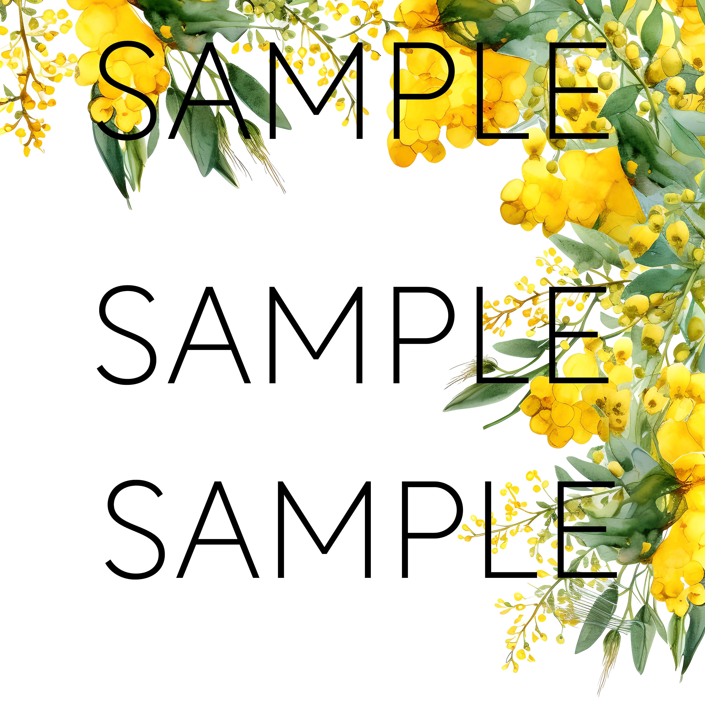 Australian Native Floral Border Australian Flowers Wattle Borders ...