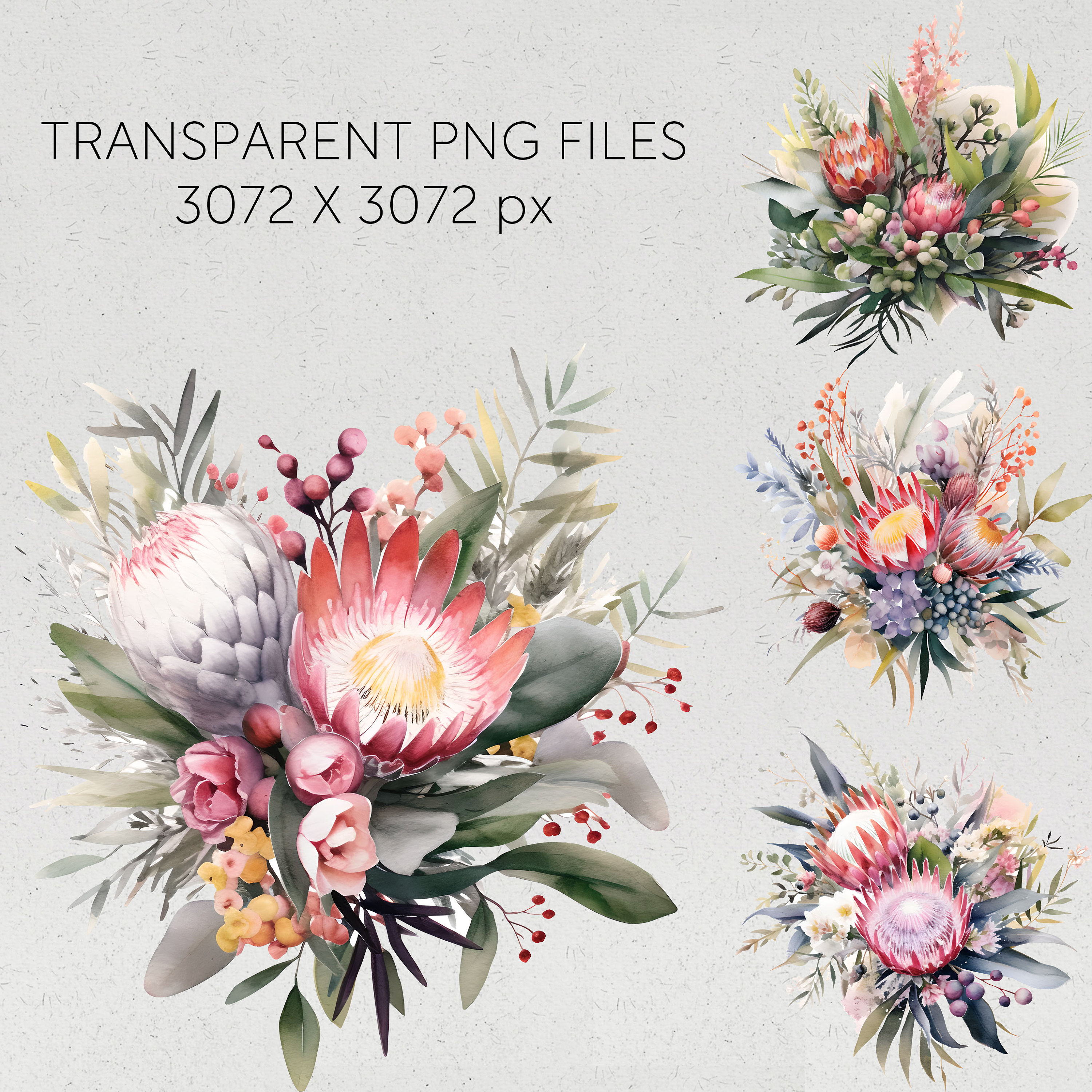 Australian Native Flowers Clipart Bouquet Flowers Transparent Pngs ...