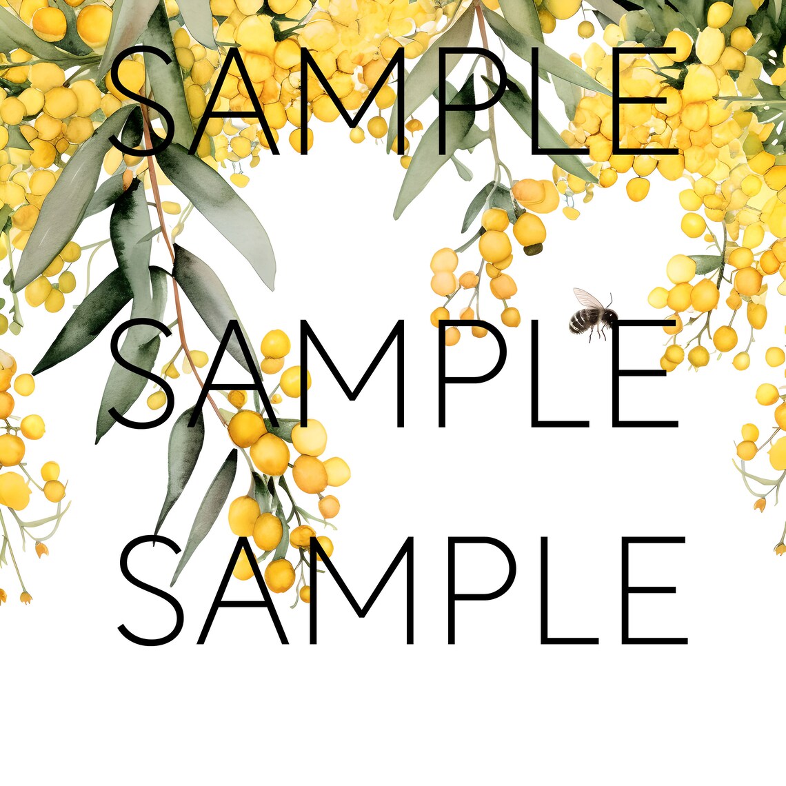 Australian Native Floral Border Australian Flowers Wattle Borders ...