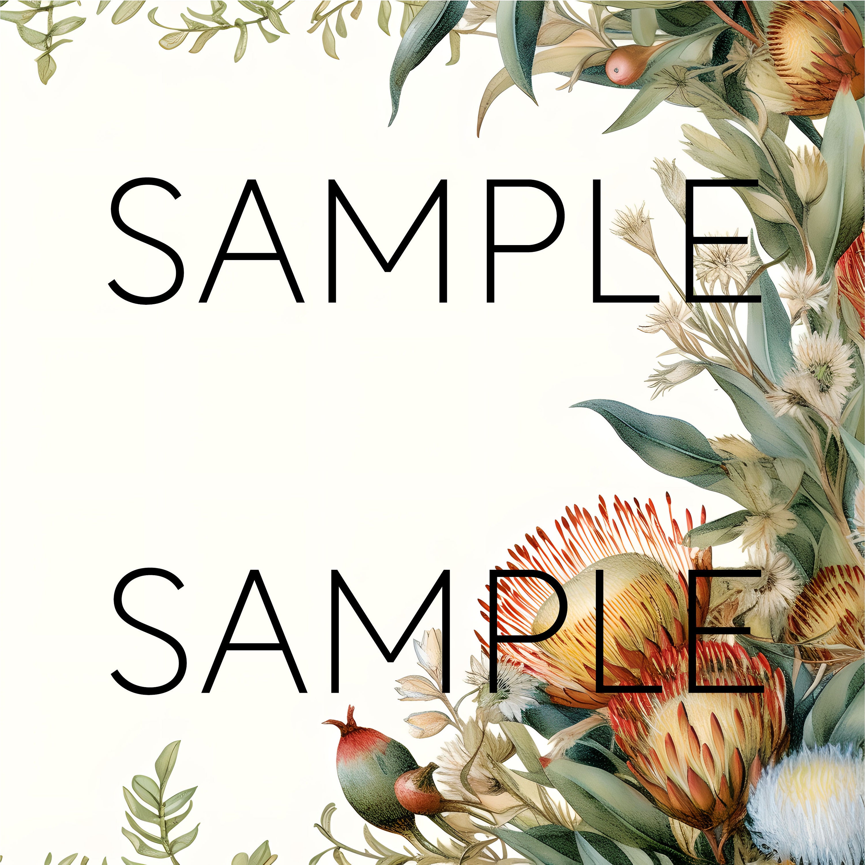 Australian Native Floral Border Australian Flowers Templates Aussie ...