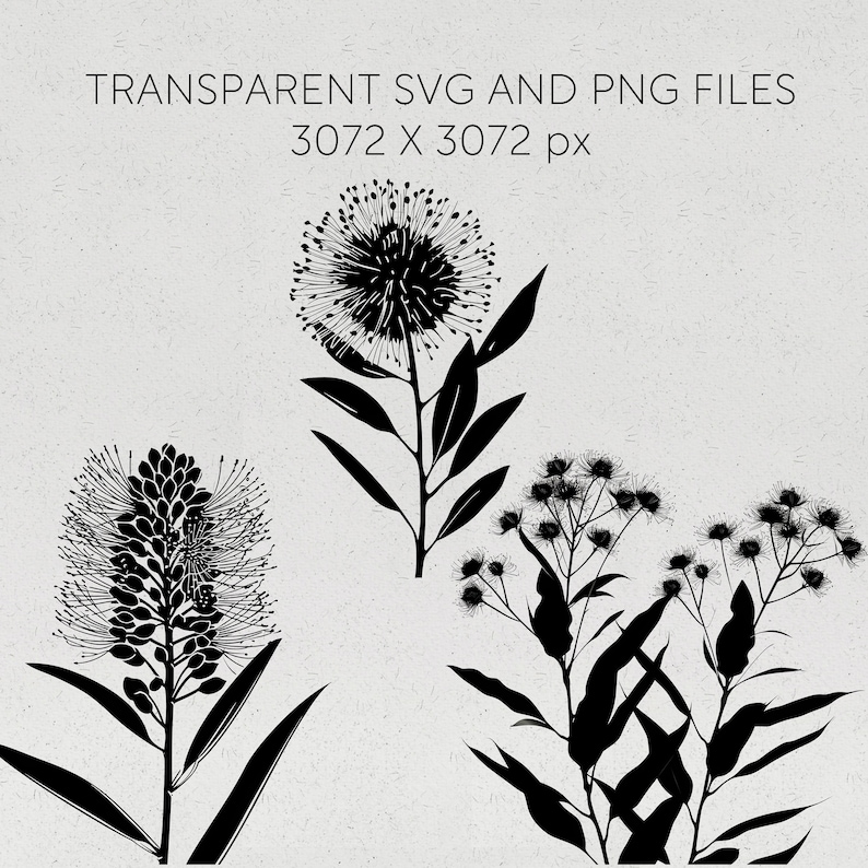 Australian Native Flowers SVG Aussie Botanicals Plotter File Svg ...