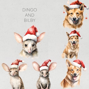 Christmas Australian Native Animals Clipart Aussie Kangaroo ...