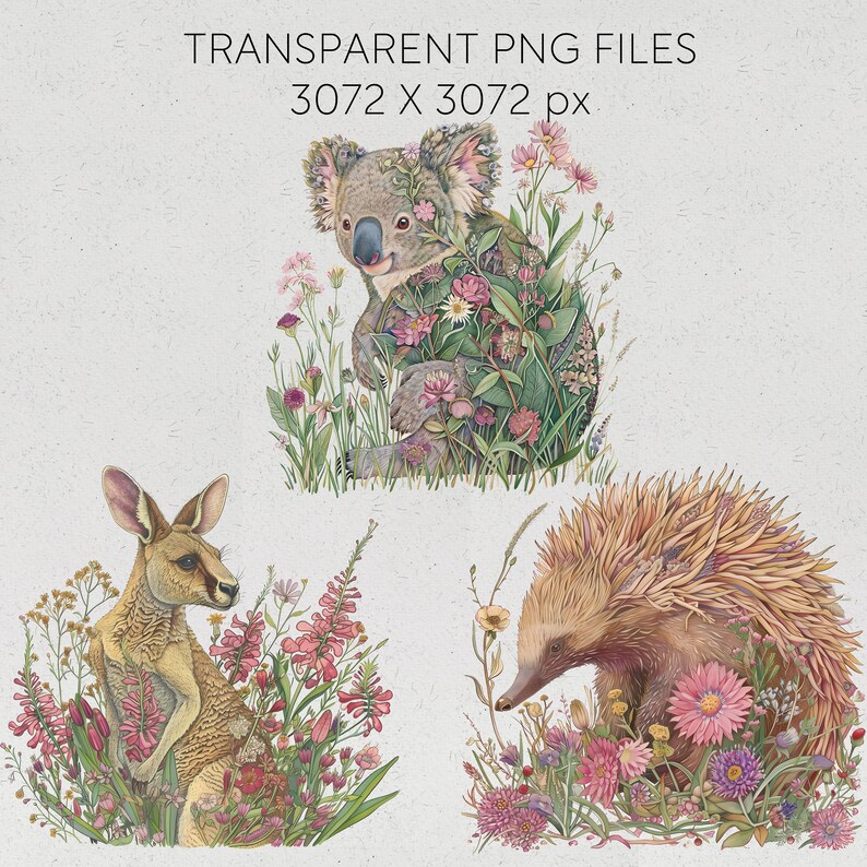 Australian Floral Native Animals Clipart Aussie Kangaroo Illustrations ...