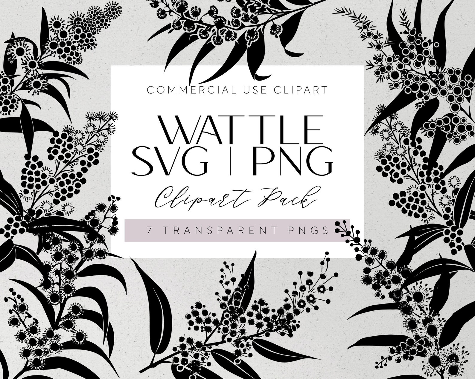 Australian Native Flowers Wattle SVG Aussie Botanicals Plotter File Svg ...