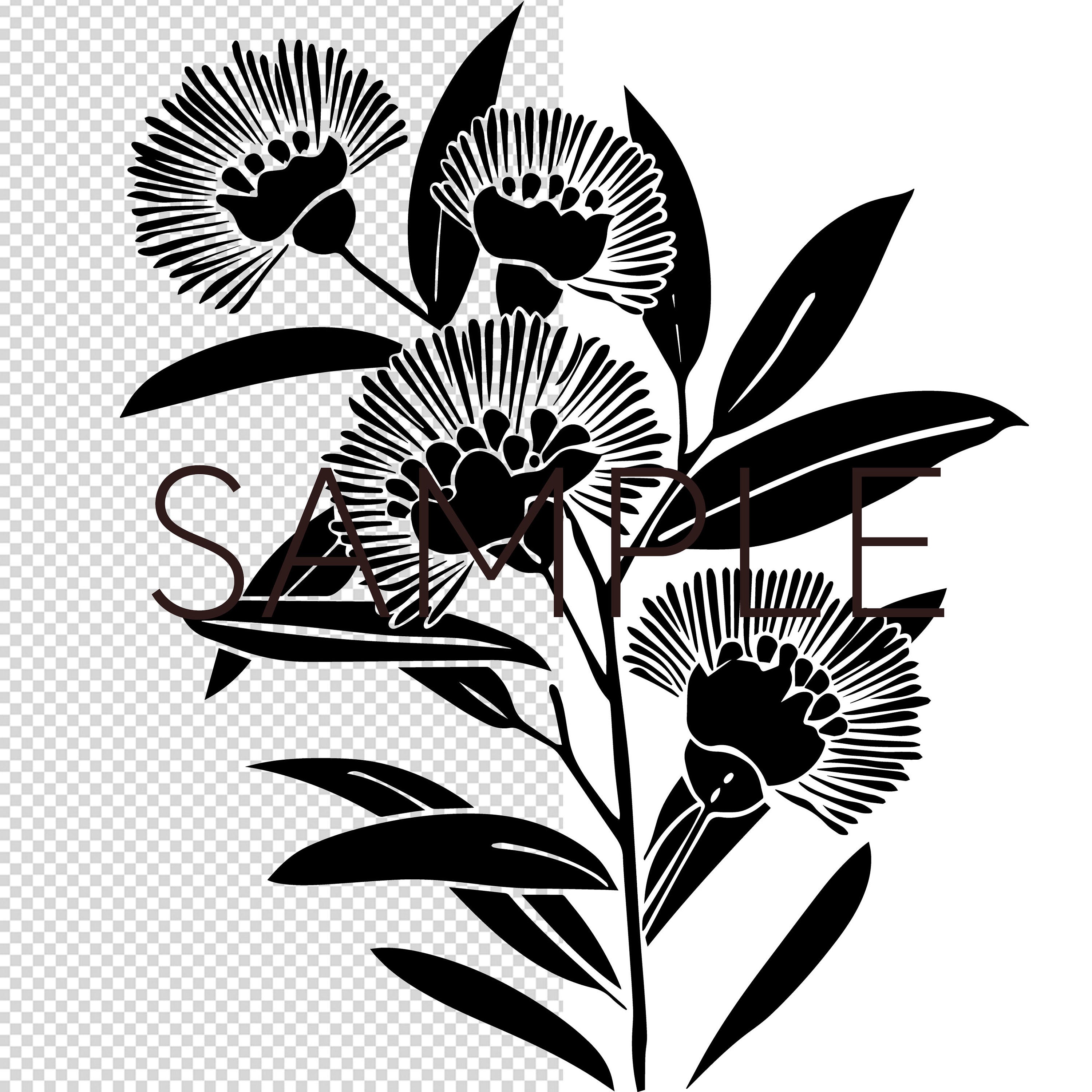 Australian Native Flowers Eucalyptus Flower SVG Aussie Botanicals ...