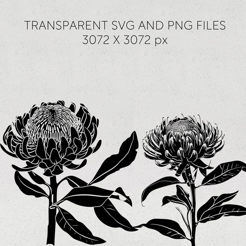 Australian Native Flowers SVG Aussie Botanicals Plotter File Svg ...