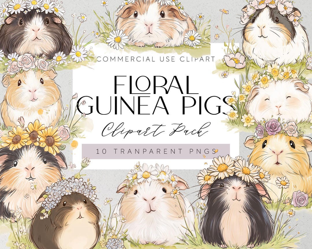 Floral Guinea Pigs Watercolour Clipart Bundle Pet Images Adorable ...